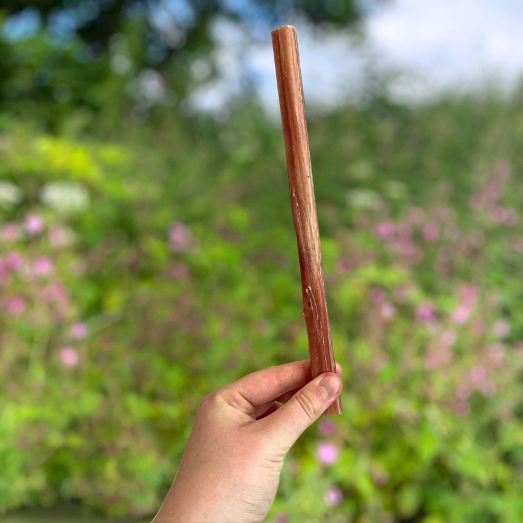 Nova Dog Chews ~ Bully Pizzle Stick 24cms (each) - One Of The Family ...