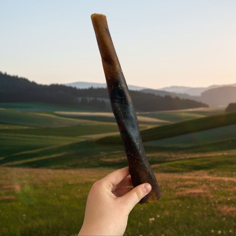 *NEW* Nova ~ Camel Skin Stick 25-30cms long - One Of The Family Raw Dog ...