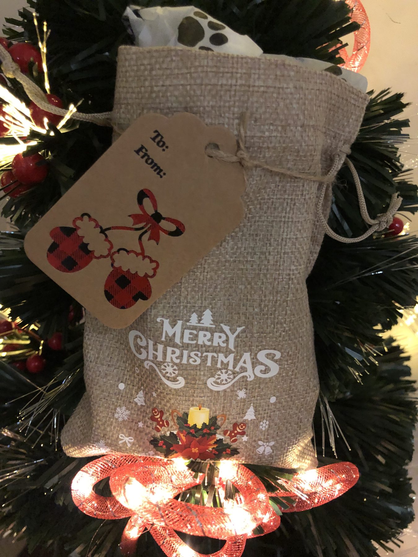 Christmas Santa Paws Mini Sack - One Of The Family Raw Dog Food