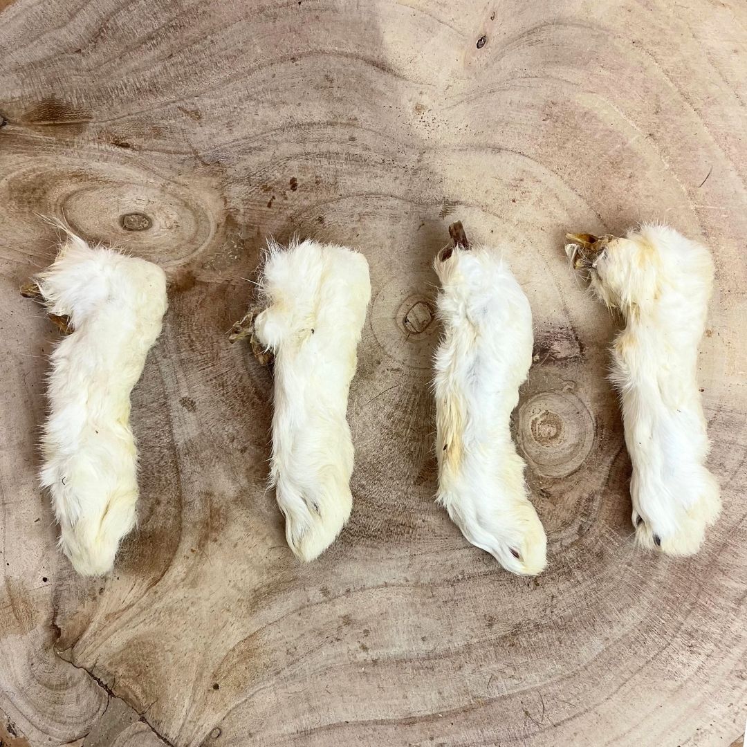 Nova ~ Rabbit Feet with Fur individual - One Of The Family Raw Dog Food